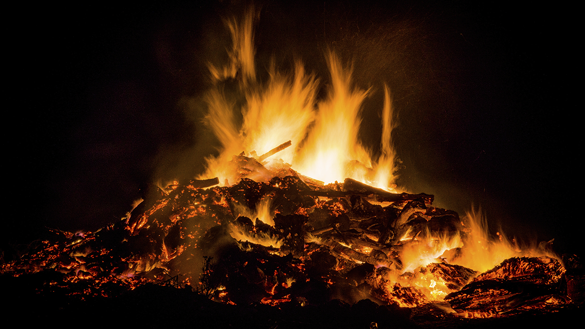 FUEGO AGENCIA – MEDIOS DIGITALES